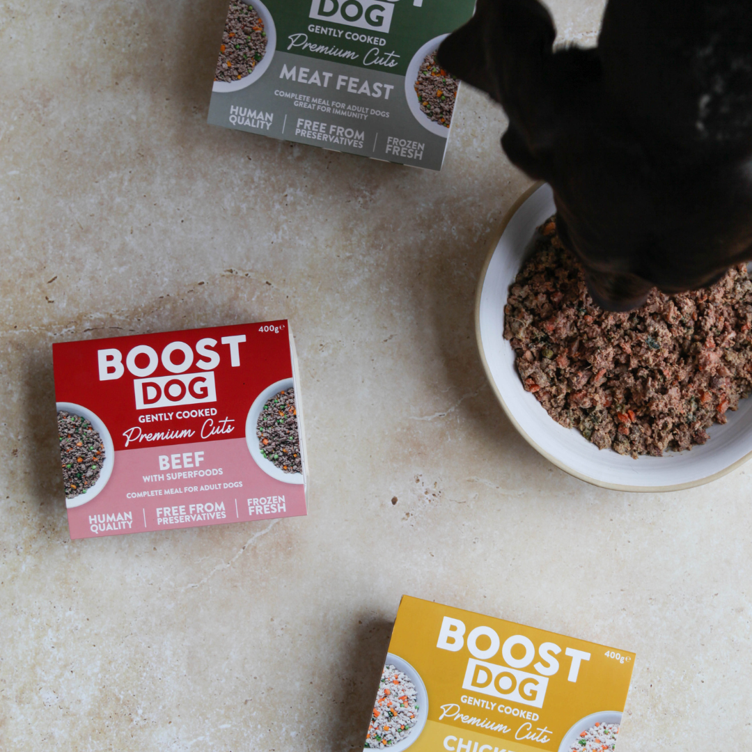 Boost Pet Food