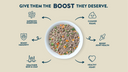 Boost Pet Food