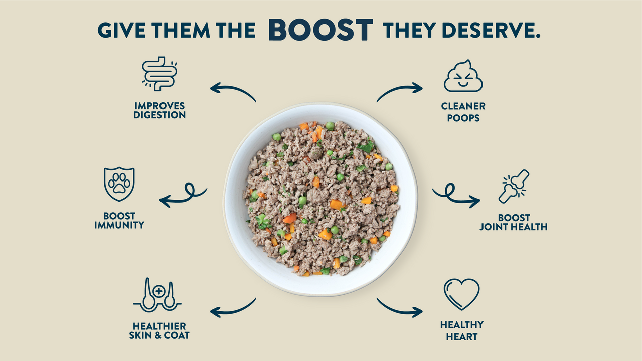 Boost Pet Food