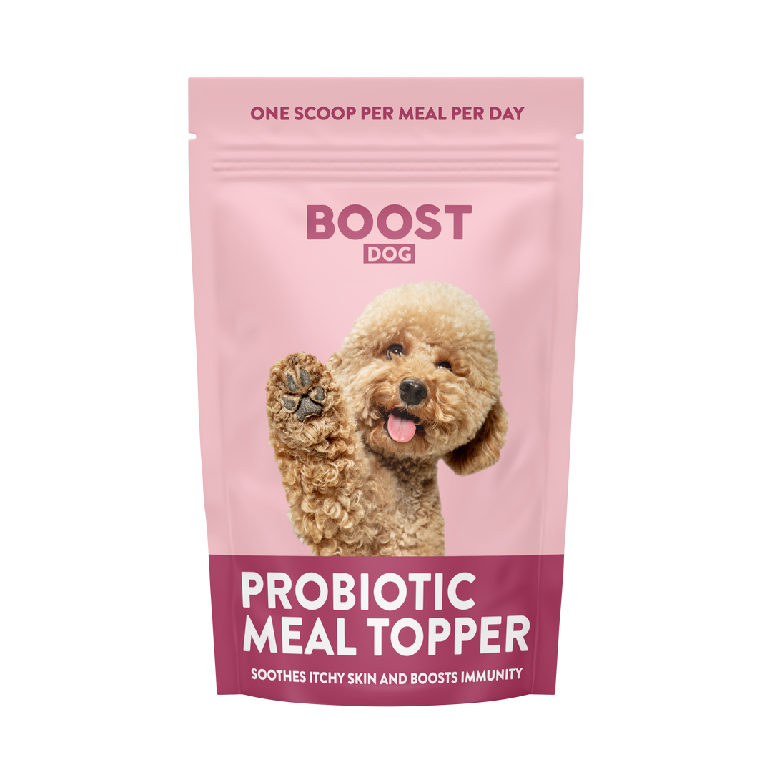Probiotic Meal Topper Daily Supplement 100g – Boost Pet Food