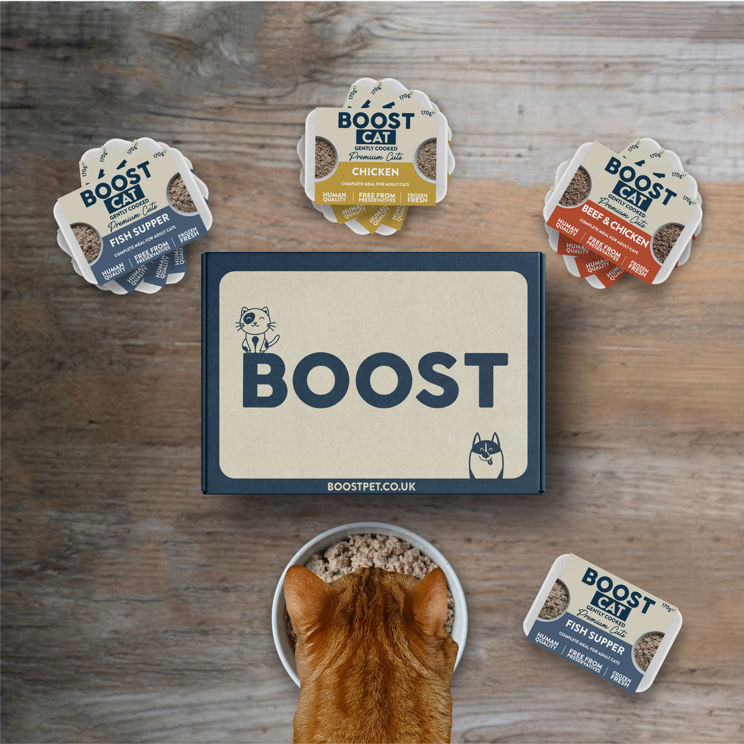 Boost Pet Food