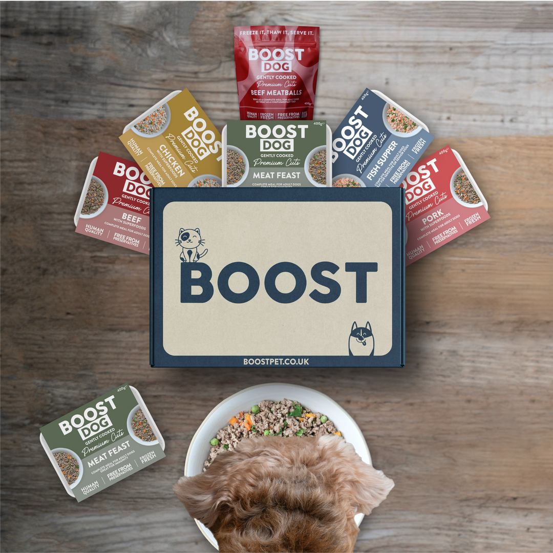 Boost Pet Food